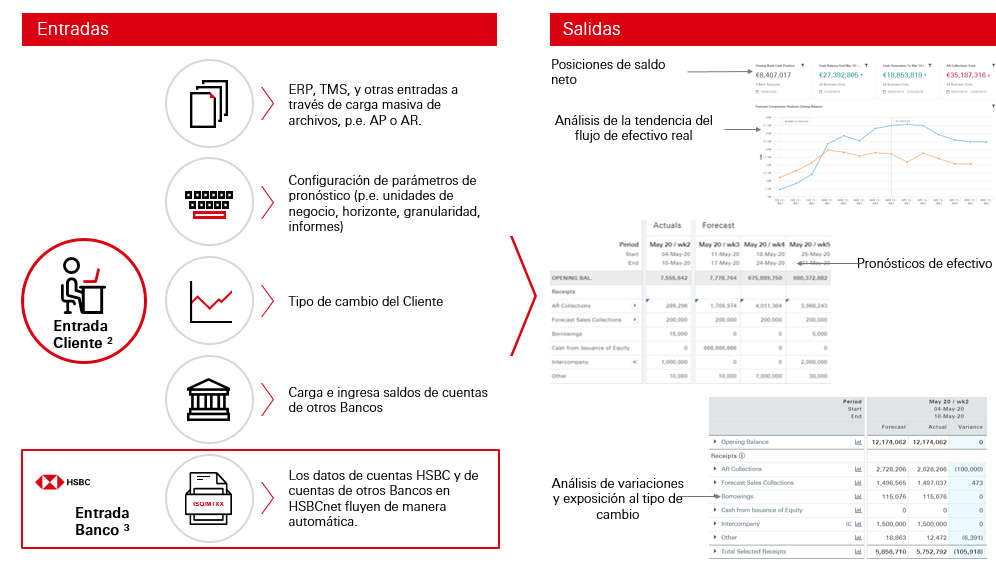 Cash Flow Forecasting | HSBC Mexico